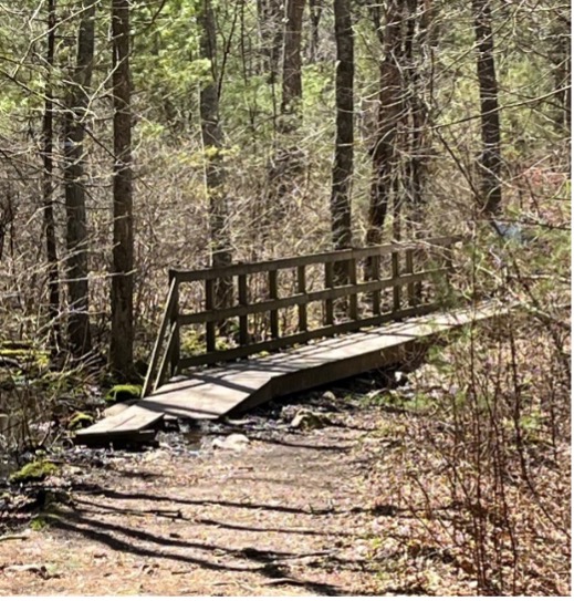 Blue Trail to Red Trail Hike - Friends of Adams Farm