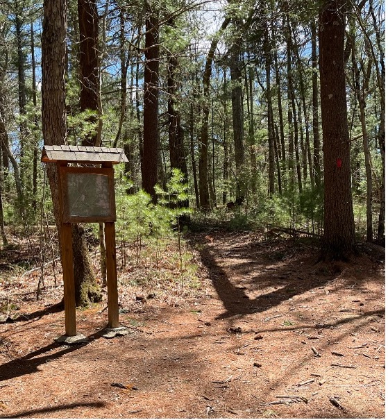 Blue Trail to Red Trail Hike - Friends of Adams Farm