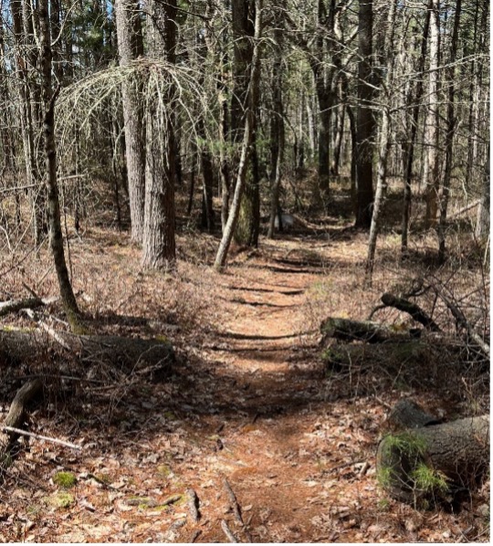 Blue Trail to Red Trail Hike - Friends of Adams Farm
